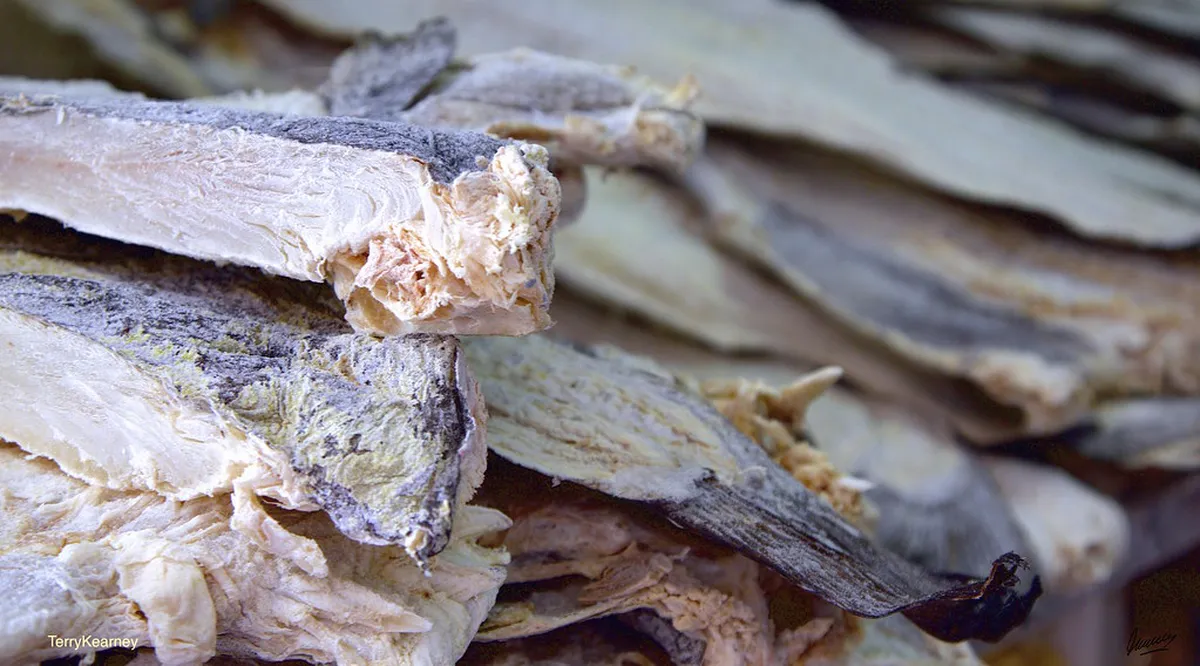 Cascais Traditional Cuisine Guide: A Food Lover's Journey | FEstivation.com